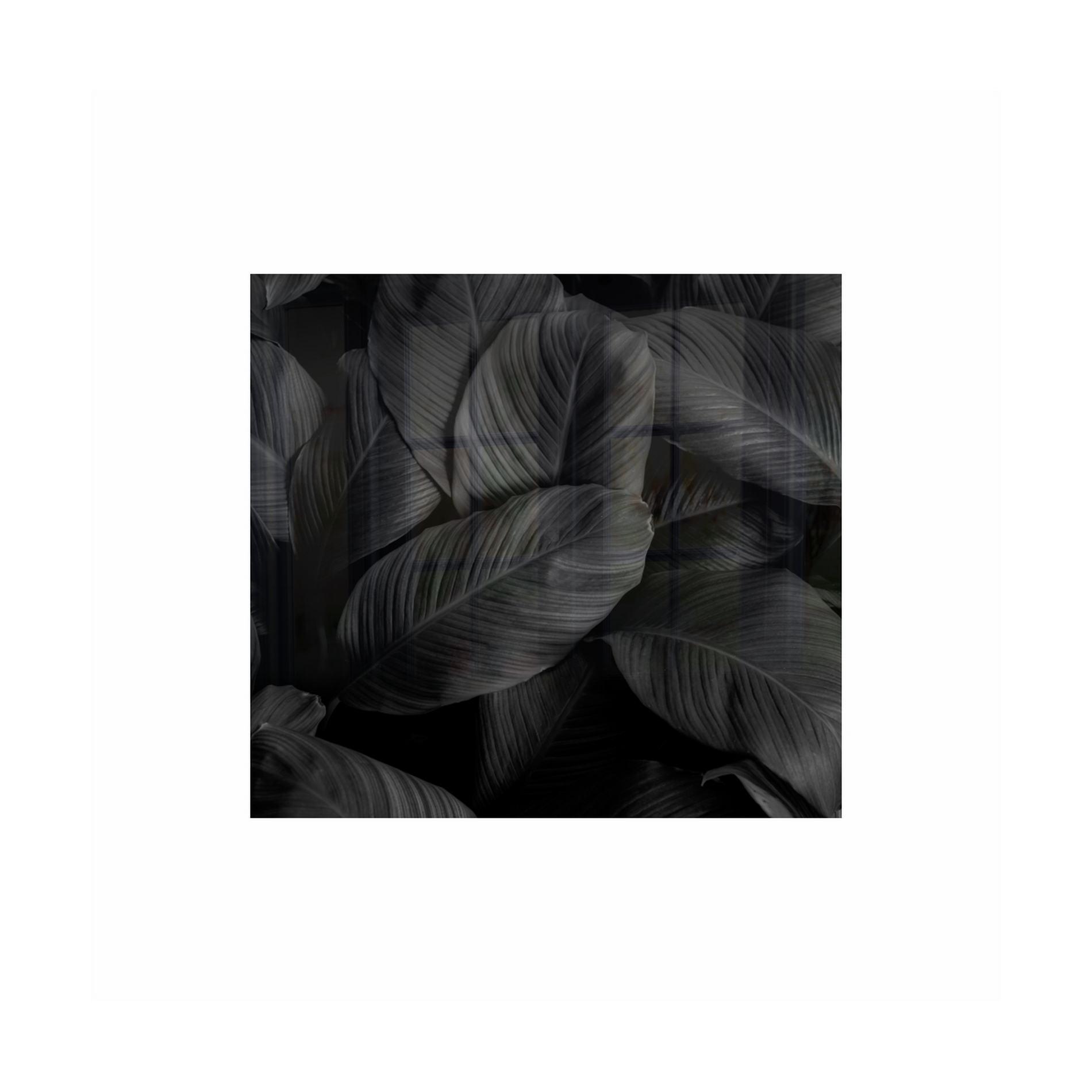 Decorative Glass Wall Tile 598Mm X 650Mm Feathers for sale | AHM Online ...