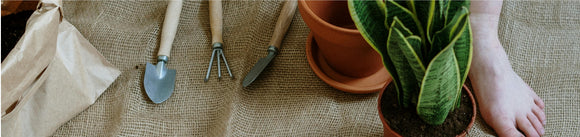 Garden & Outdoor_Plant & Lawn Care | AHM Online (Pty) Ltd